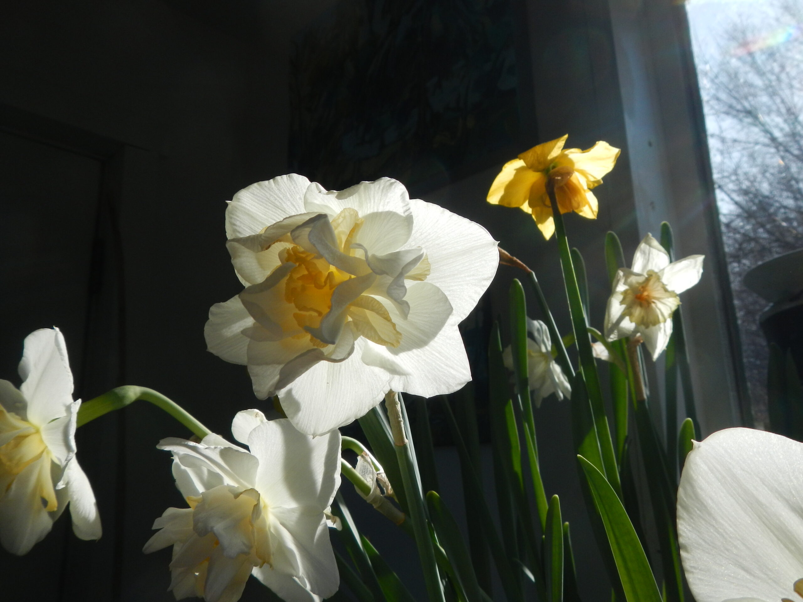 The Gift of Change – Flora Doehler Painting